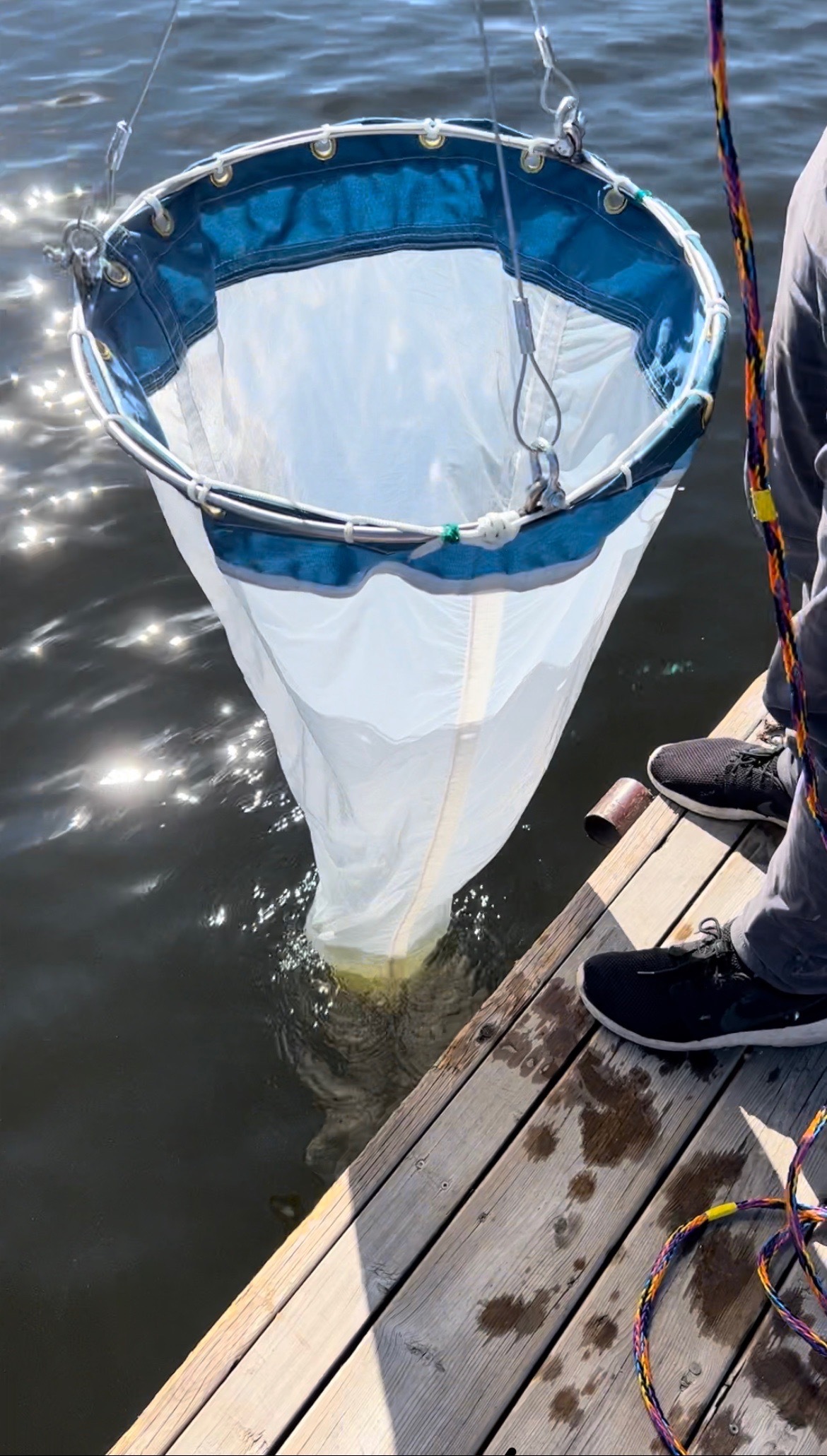 First Detection of Zebra Mussel Larvae on the Canadian Side of Rainy ...